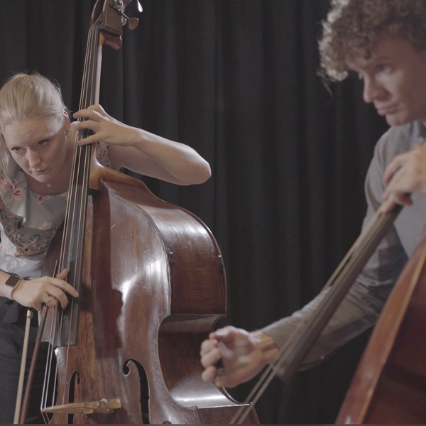 Ensemble – String Virtuoso